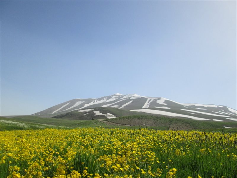 TABRIZ - Iran Tourism and Travels