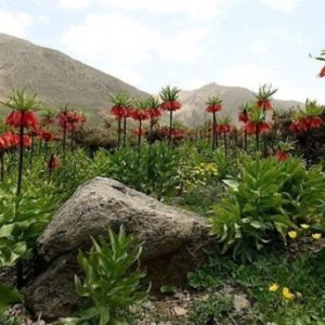 LORESTAN - Iran Tourism and Travels