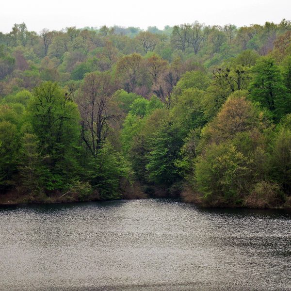 SHOMAL - Iran Tourism and Travels