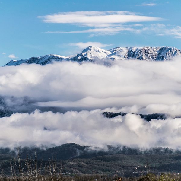 SHOMAL - Iran Tourism and Travels