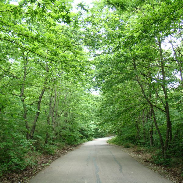 SHOMAL - Iran Tourism and Travels