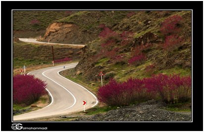 Iran Tourism | Iran Tours | Iran Sights - Iran Tourism and Travels