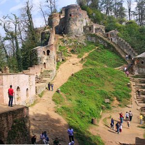 SHOMAL - Iran Tourism and Travels