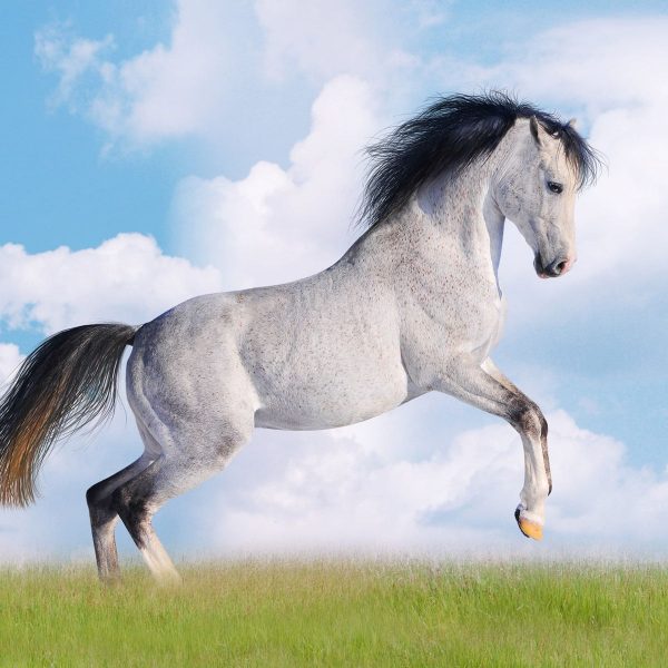 LORESTAN - Iran Tourism and Travels